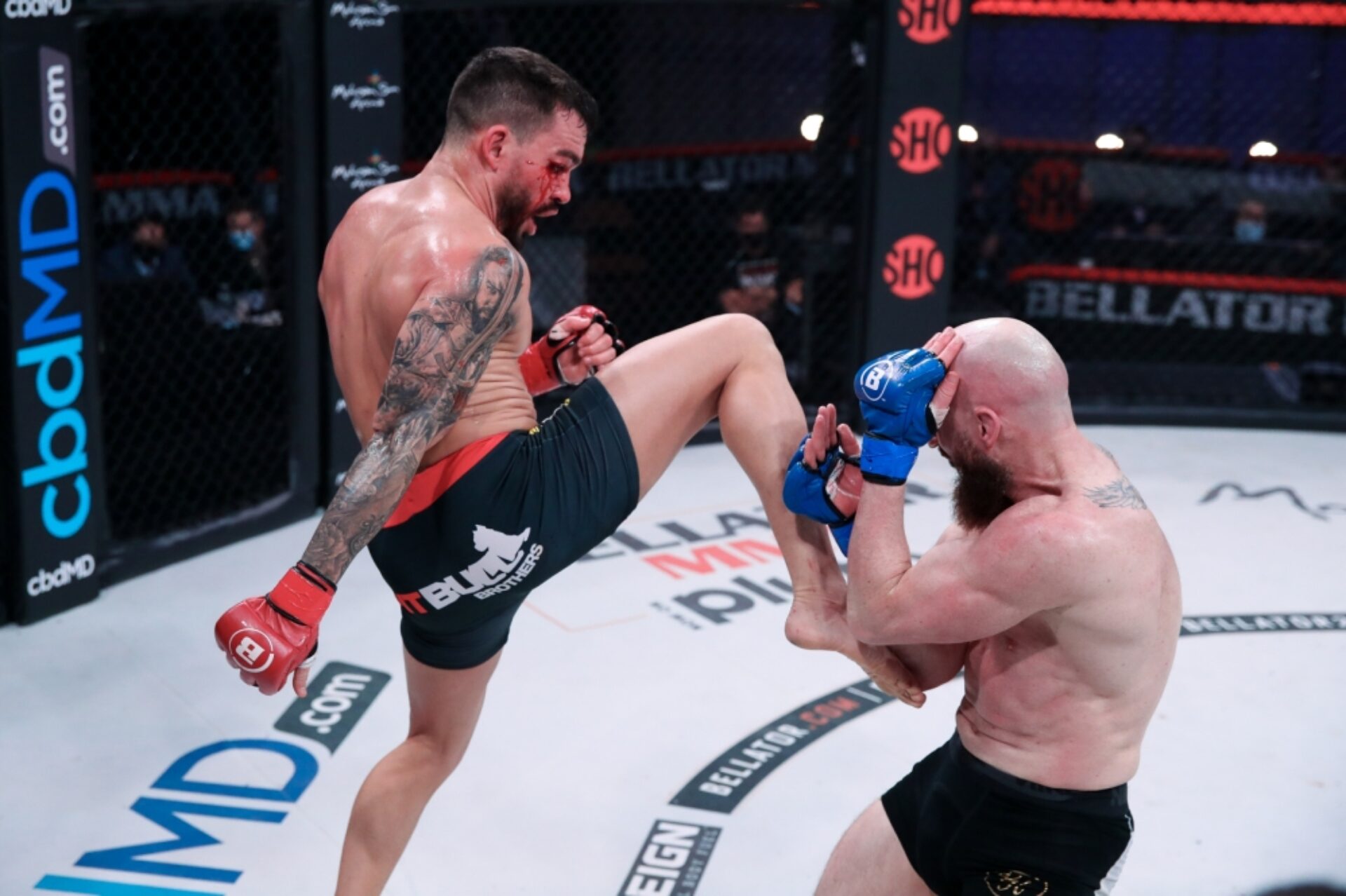 Patricio Pitbull acredita que luta na Irlanda pode favorecer Patricky - PVT