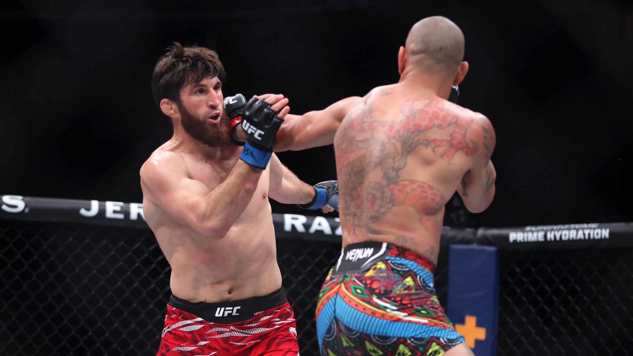 Ankalaev vence Alex Poatan no UFC 313 e conquista cinturão - PVT